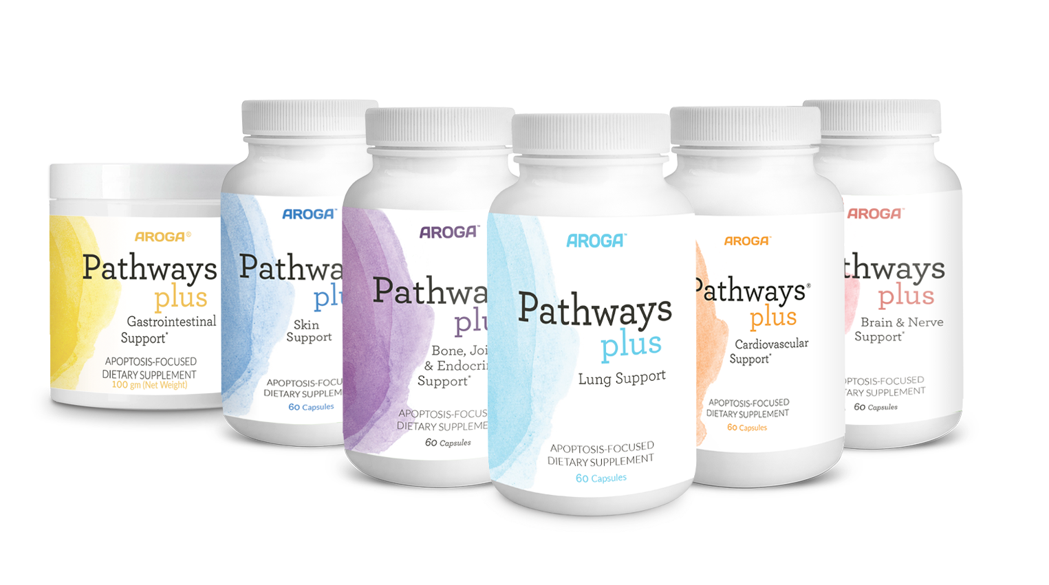 Autophagy & Apoptosis – Cellular Support – Shop WBW – shopWBW